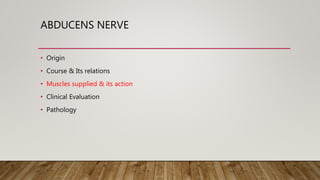 Trochlear & Abducens Nerve | PPTX