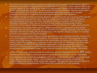 презентация Trochlearis | PPT