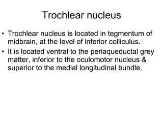 Trochlear nerve | PPT