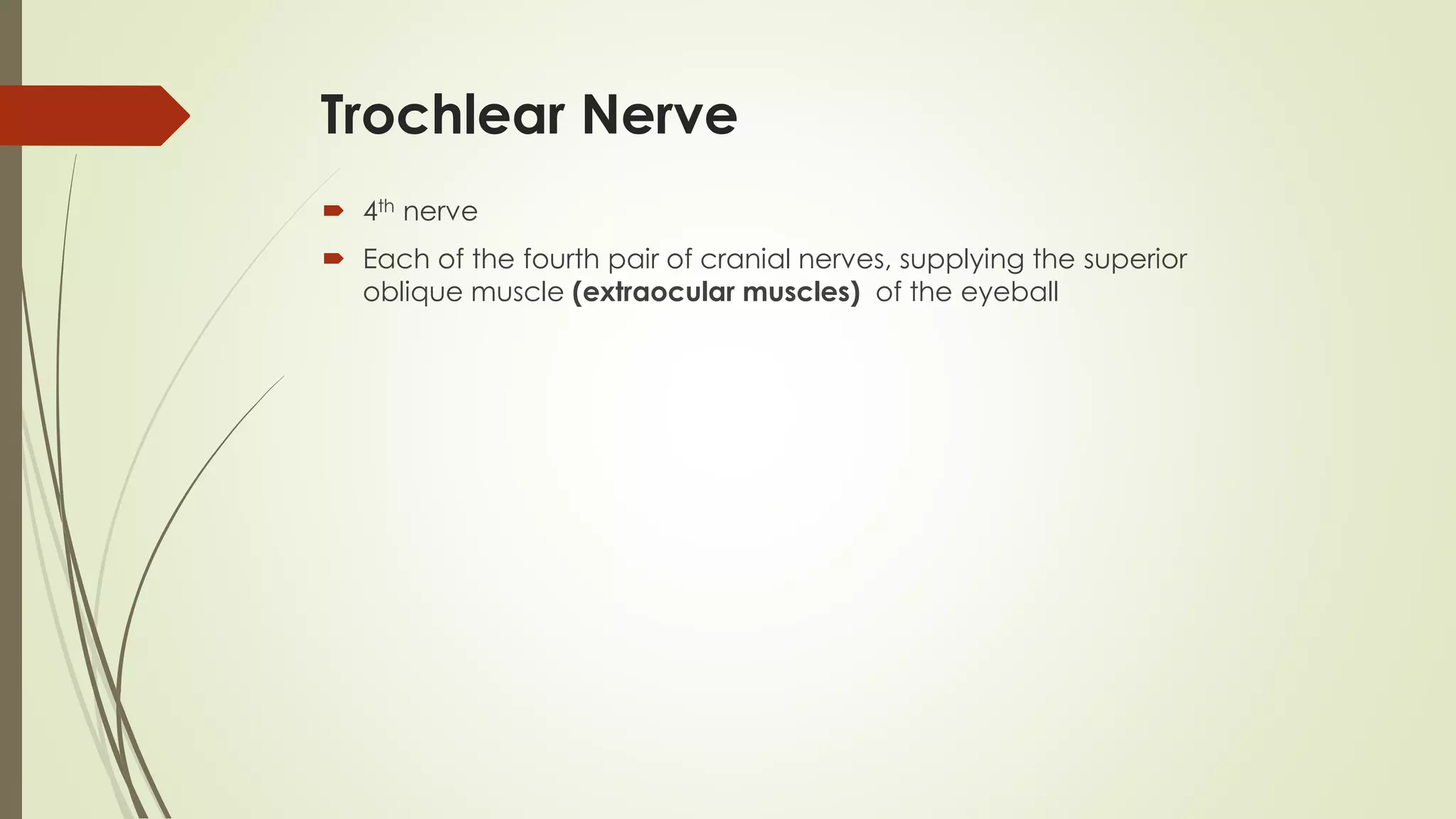 Trochlear nerve | PPT