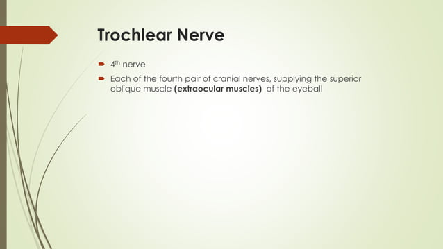 Trochlear nerve | PPT