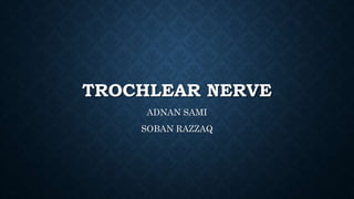 Trochlear nerve | PPT