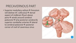 trochlearnerve-4th cranial nerve ppt.pptx
