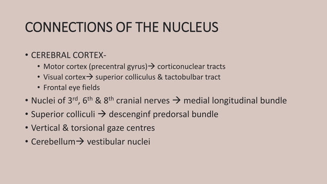 Trochlear nerve | PPTX | Brain and Nervous System Disorders | Diseases ...