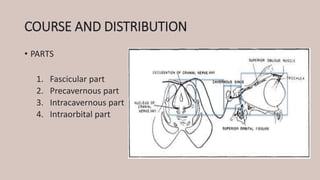 Trochlear nerve | PPTX