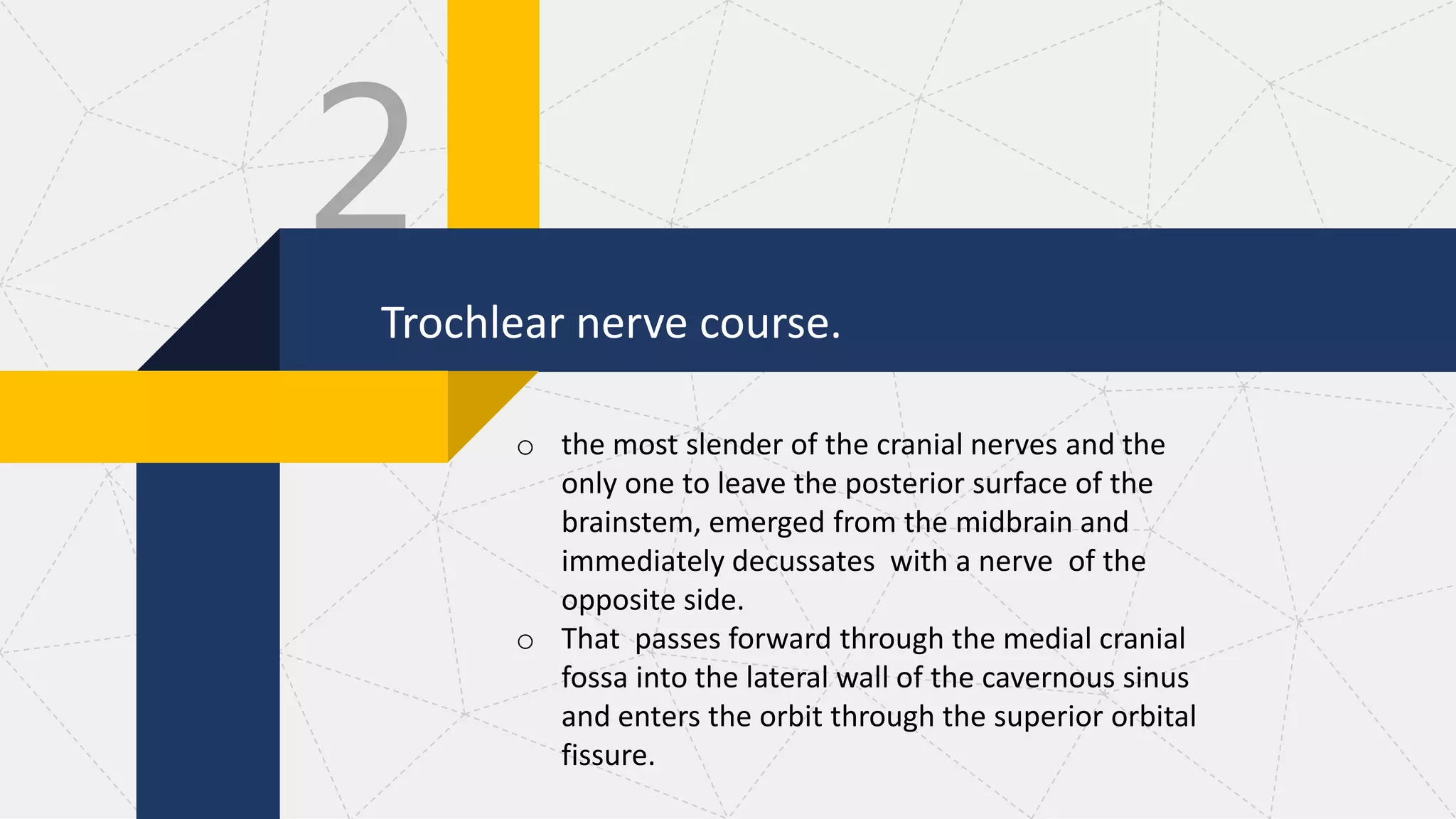 trochlear nerve.ppt