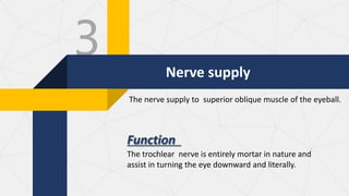 trochlear nerve.ppt
