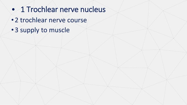 trochlear nerve.ppt