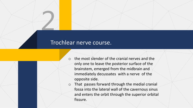 trochlear nerve.ppt