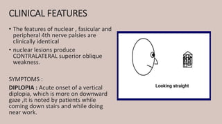 Trochlear nerve by Dr Haamid.pptx. learn about cranial nerved | PPTX