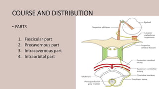 Trochlear nerve by Dr Haamid.pptx. learn about cranial nerved | PPT