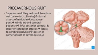 Trochlear nerve by Dr Haamid.pptx. learn about cranial nerved | PPT