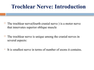 Trochlear nerve palsy- Quick review.pptx