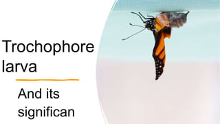 Trochophore larva | PPTX