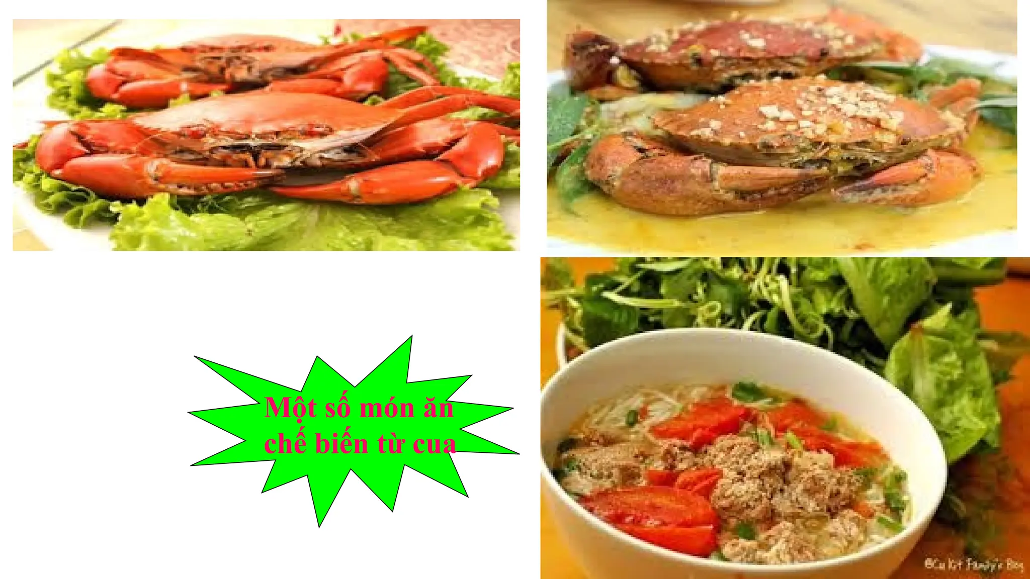 tro chuyen ve con vat song duoi nuoc.ppt