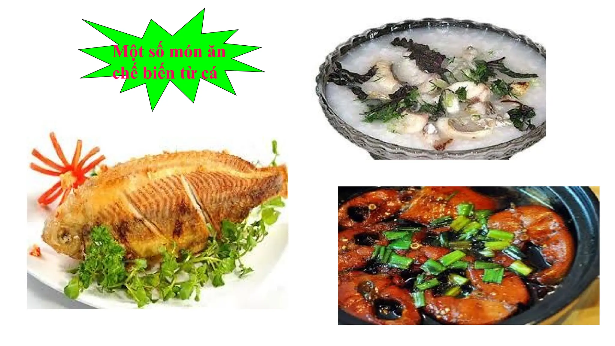 tro chuyen ve con vat song duoi nuoc.ppt