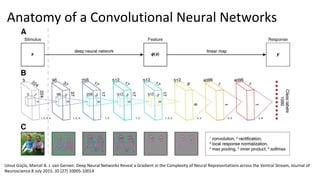 2019-06-14:7 - Neutral Network Compression | PDF