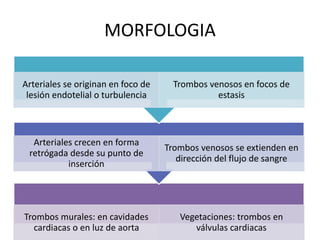 Trombosis | PPTX