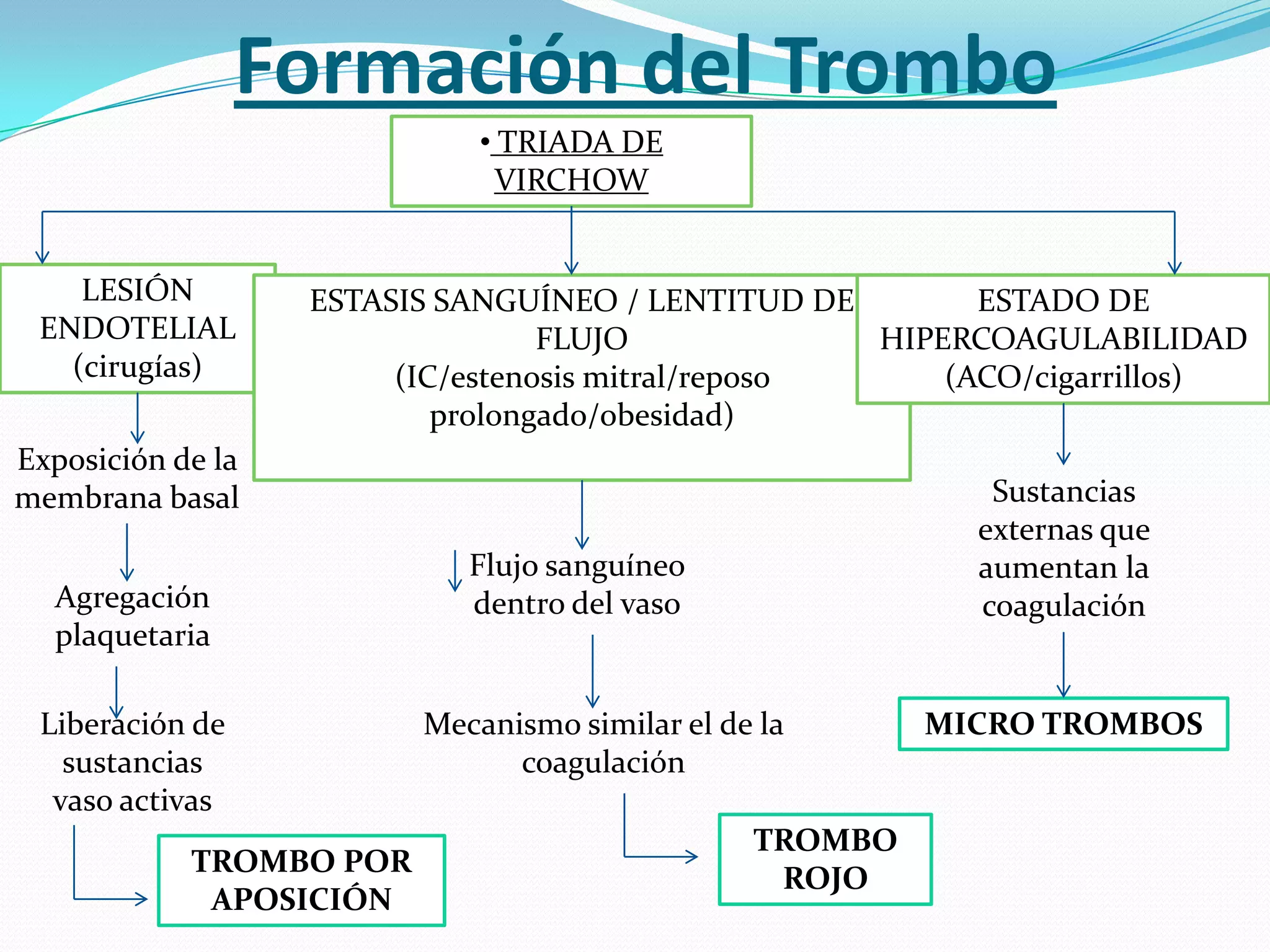 Trombosis venosa profunda | PPTX