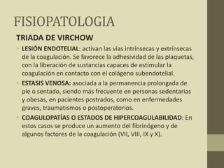 TROMBOSIS VENOSA PROFUNDA 2024 (1)documento | PDF