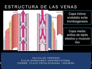Trombosis venosa profunda | PPTX