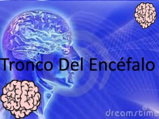 Tronco cefalico | PPTX