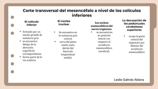 neuroanatomia y fisiologia del tronco encefalico | PPTX