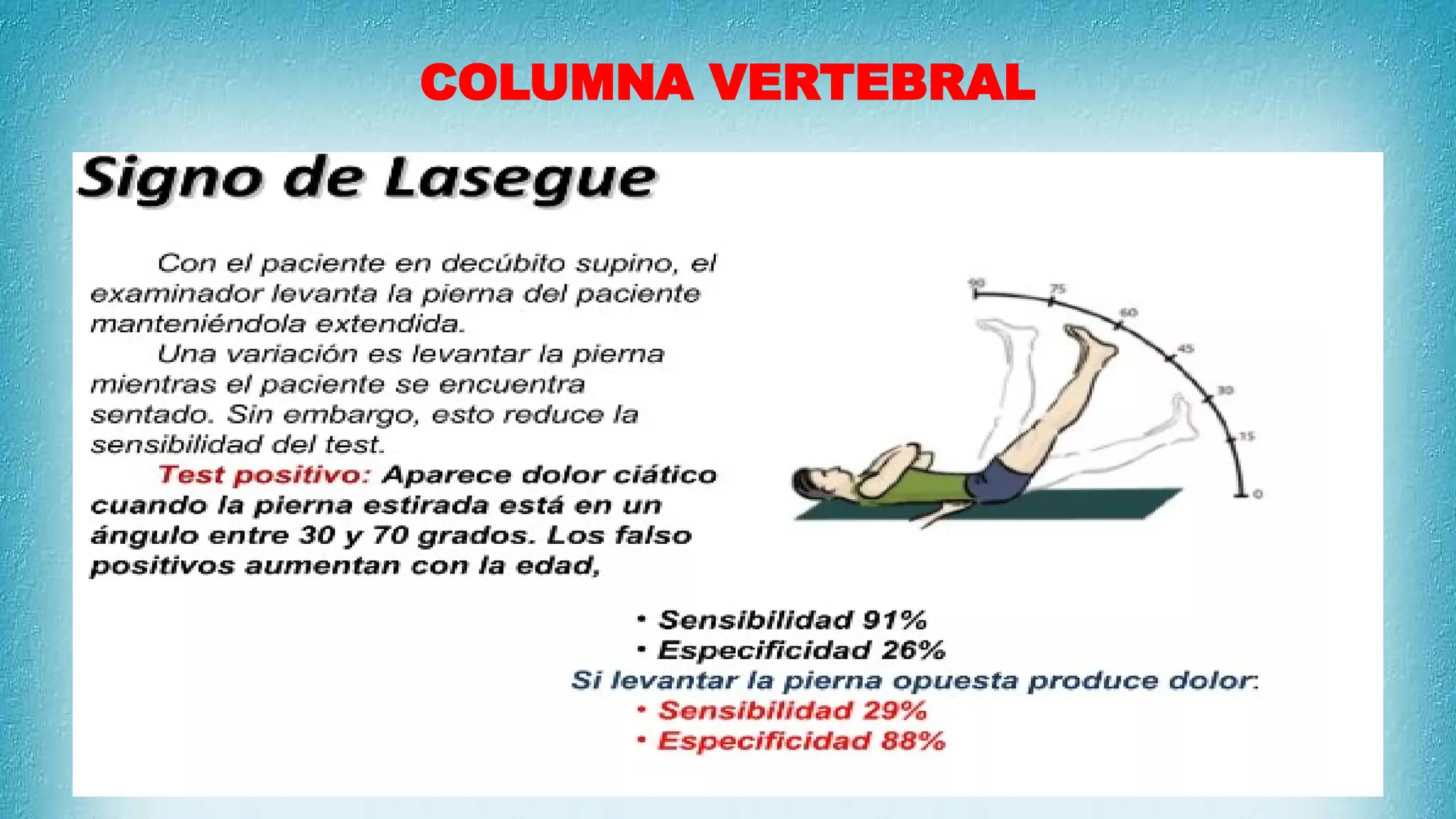 TRONCO, TORAX, COLUMINA VERTEBRAL (1).pptx