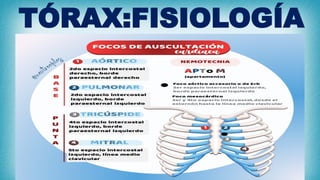 TRONCO, TORAX, COLUMINA VERTEBRAL (1).pptx