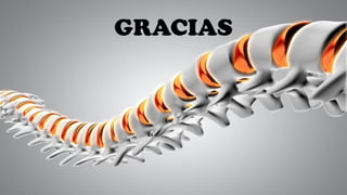 TRONCO, TORAX, COLUMINA VERTEBRAL (1).pptx