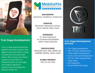 TRON Development Services | PDF