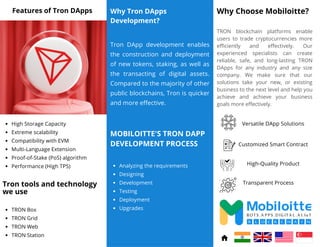 TRON Development Services | PDF