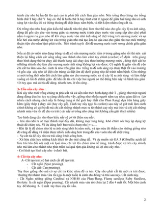 Trồng Nho Phan Rang | PDF