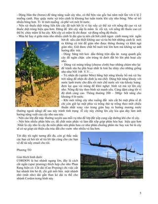 Trồng Nho Phan Rang | PDF