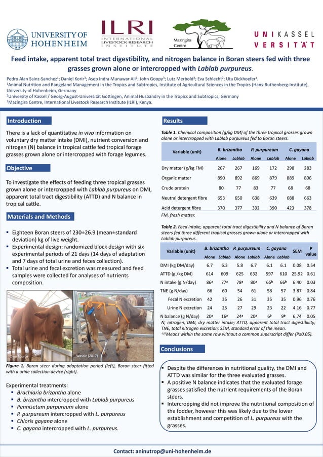 Feed intake, apparent total tract digestibility, and nitrogen balance ...