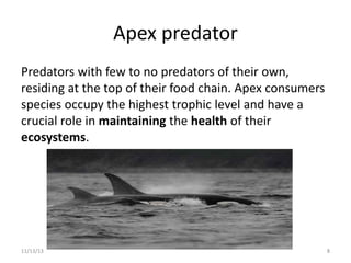 Trophic downgrading of planet earth | PDF | Zoos & Aquariums | Attractions