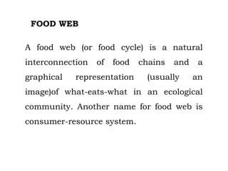 TROPHIC DYNAMICS, FOOD CHAIN AND FOOD WEB-1.pptx
