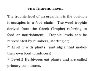 TROPHIC DYNAMICS, FOOD CHAIN AND FOOD WEB-1.pptx
