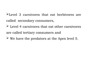 TROPHIC DYNAMICS, FOOD CHAIN AND FOOD WEB-1.pptx