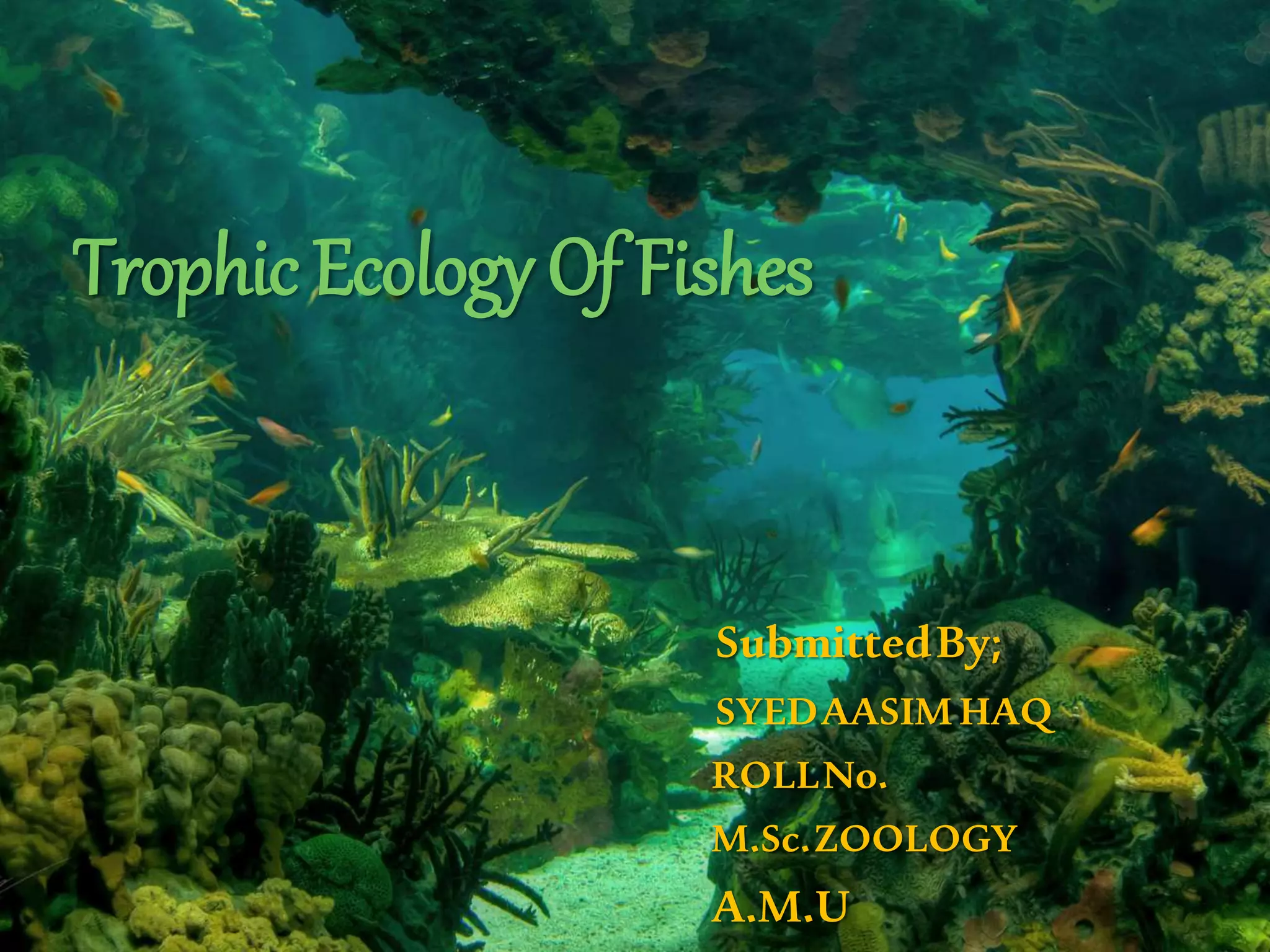 Trophic ecology of fishes,polyculture, fish food analysis and fish ...