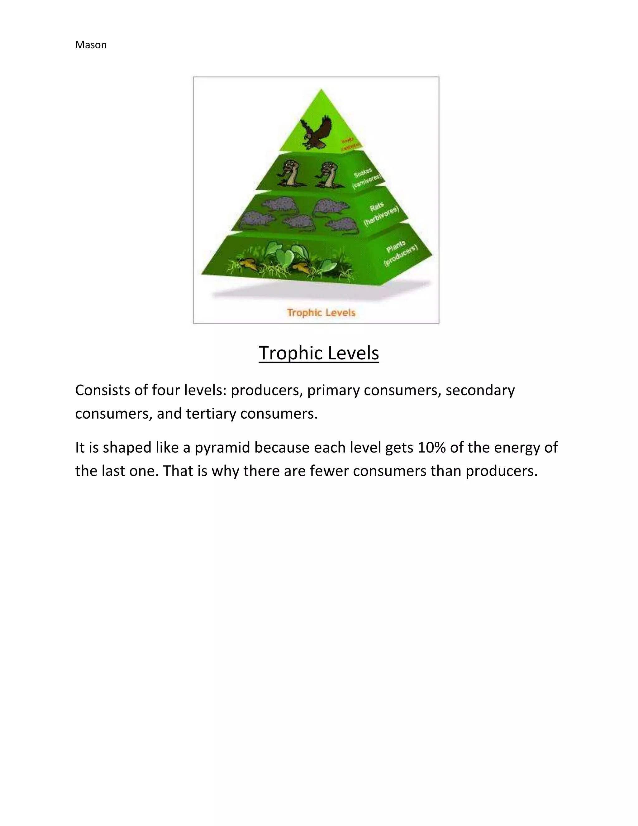 Trophic Levels | DOCX | Biological Sciences | Science
