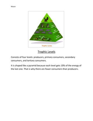 Trophic Levels | DOCX | Biological Sciences | Science