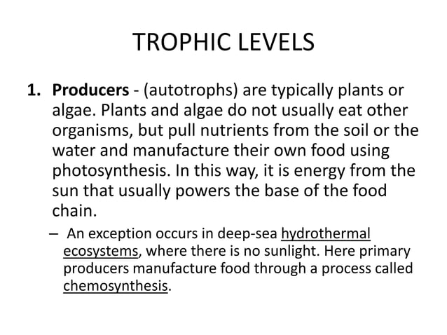 Trophic Levels | PPTX | Geography | Science