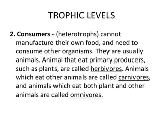 Trophic Levels | PPTX
