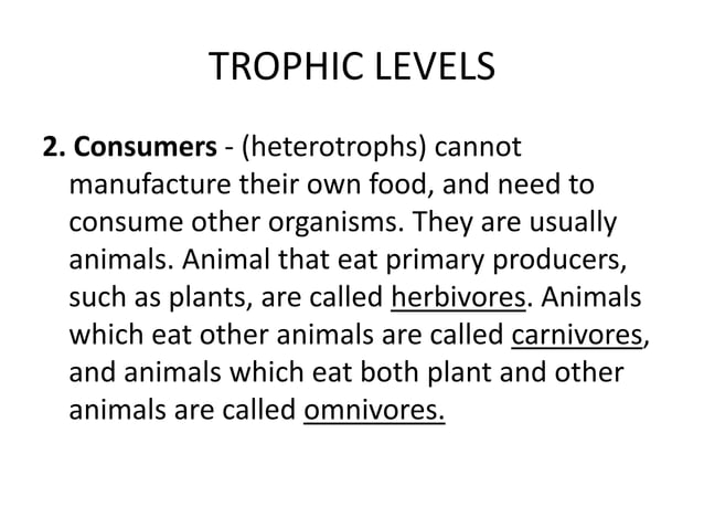 Trophic Levels | PPTX | Geography | Science
