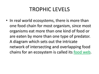 Trophic Levels | PPTX