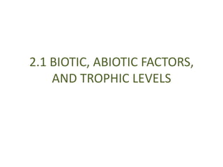 Trophic Levels | PPTX