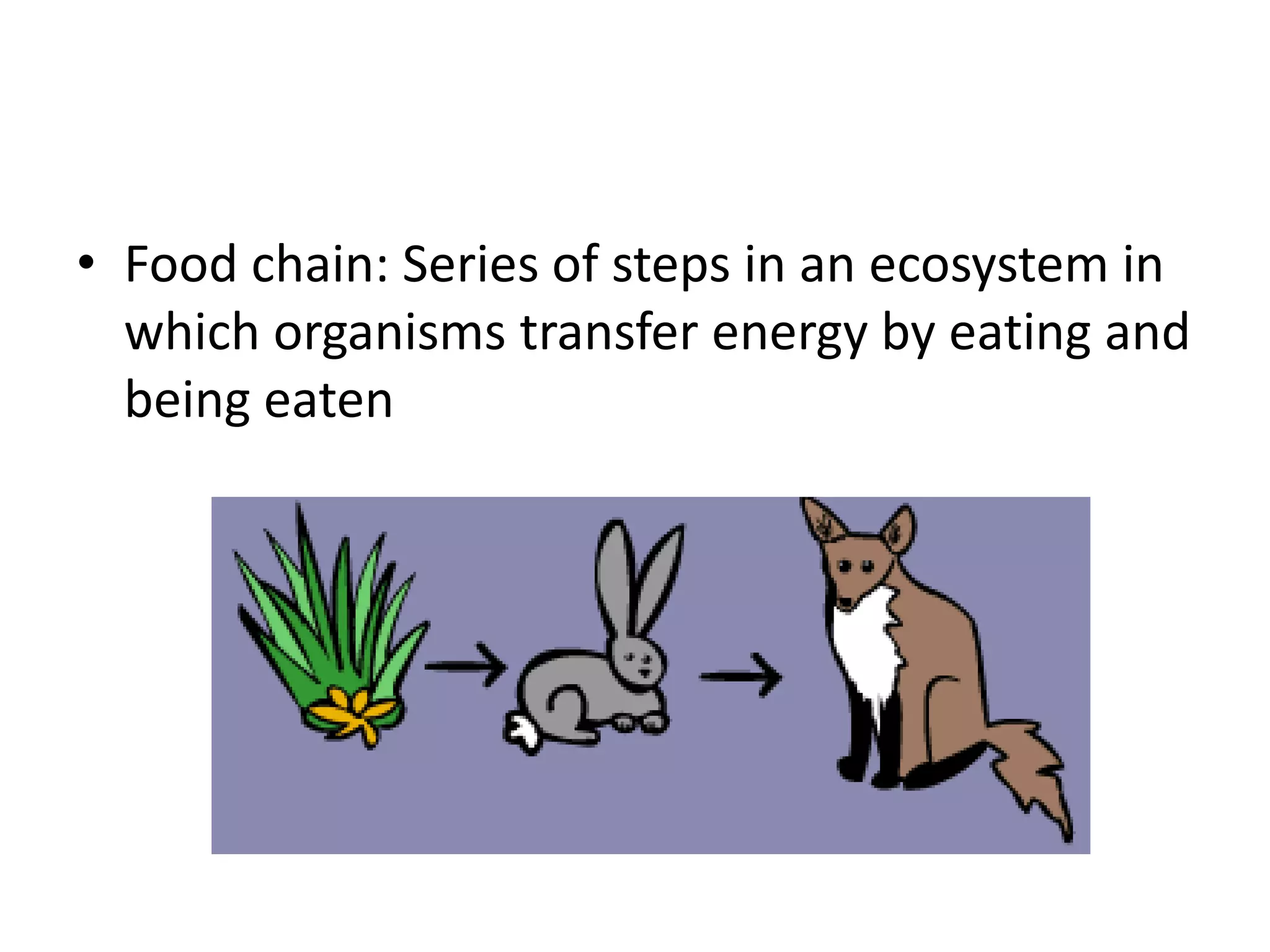 Trophic levels | PPTX