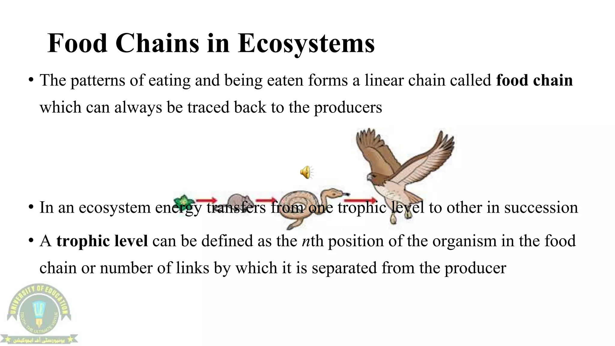 Trophic levels and energy variation with increasing trophic levels.food ...