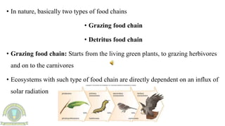 Trophic levels and energy variation with increasing trophic levels.food ...